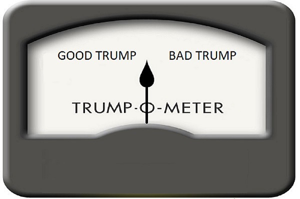 ‘Sometimes-Trump’ cowards are responsible for death of conservatism ...